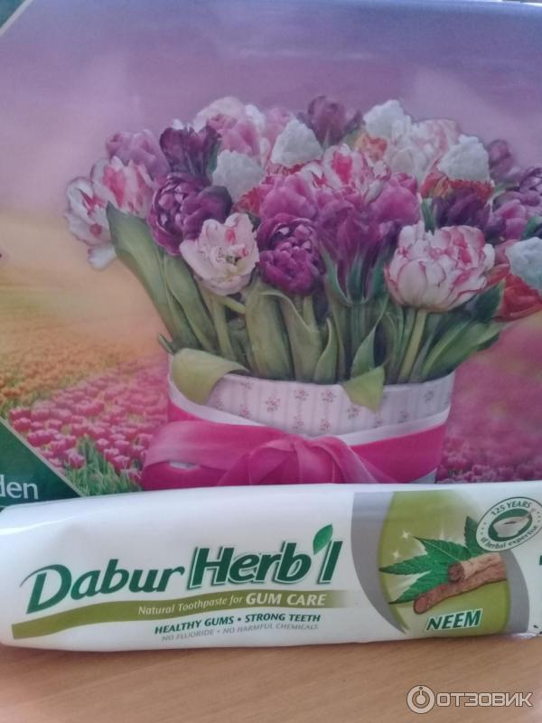 Отзыв о Аюрведическая зубная паста Dabur "Ним" | Процесс тестирования ...