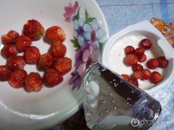Отзыв о Йогурт Лактика "Греческий" | вкусно